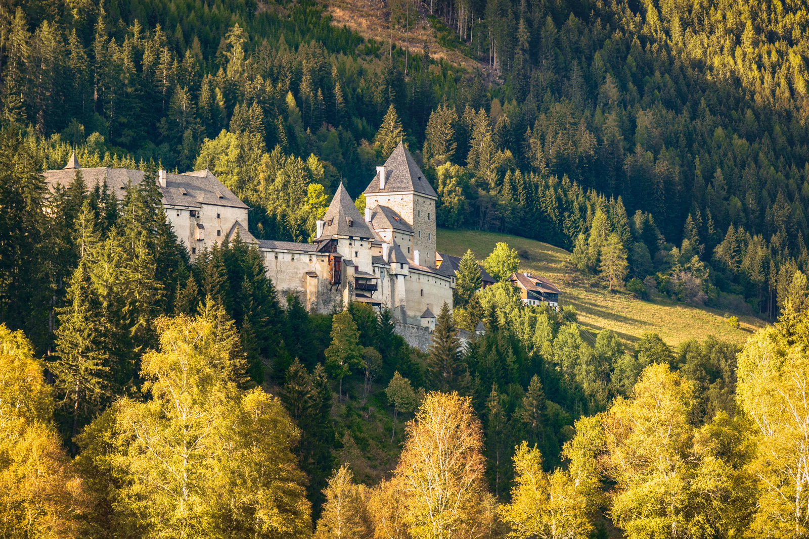 Familien-Radtour an der Mur | Radweg-Reisen