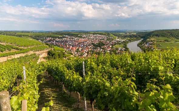 Der Neckar-Radweg | Radweg-Reisen