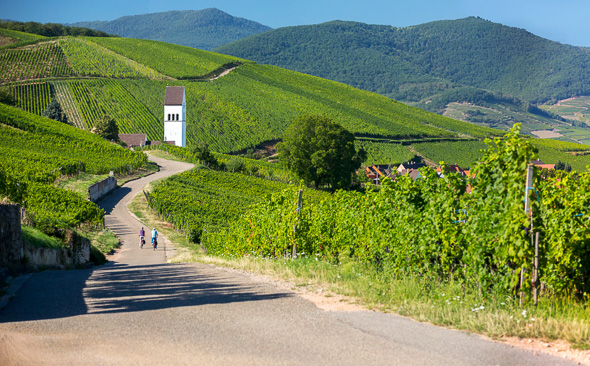 Radreisen in Elsass und Lothringen | Radweg-Reisen